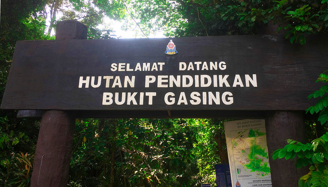 GOING IN A SPIN @ BUKIT GASING - Hiking Malaysia