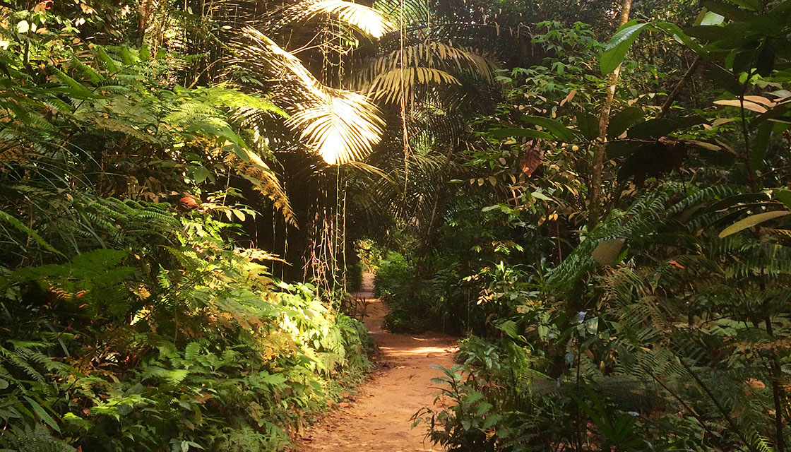 GOING IN A SPIN @ BUKIT GASING - Hiking Malaysia