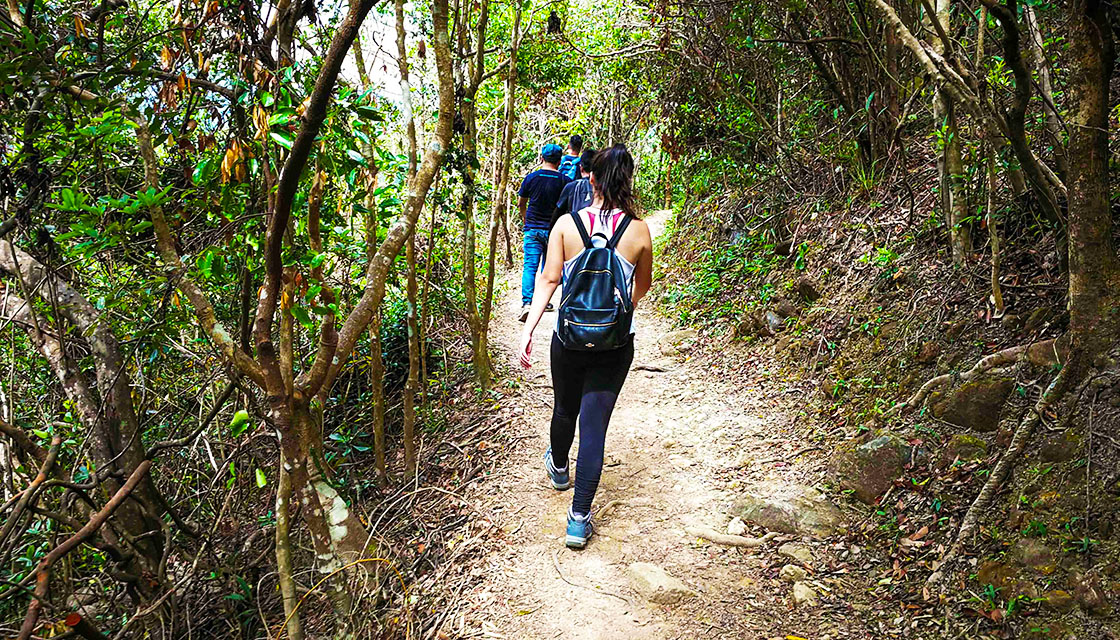 PLACES TO HIKE: HONG KONG DRAGON’S BACK TRAIL - Hiking Malaysia